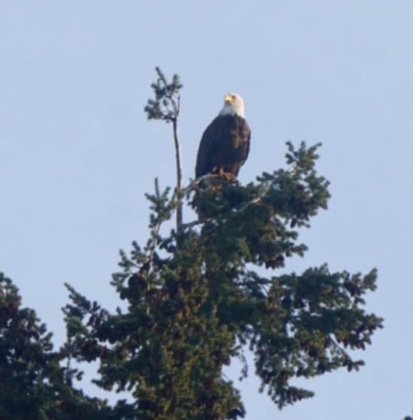 Travis Cardinal 12 | Pointe West Cremation & Funeral Service Ltd.